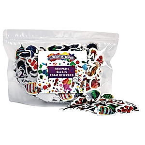 Colorations Sea Life Photo Stickers, Foam Stickers, 250 pieces of Photo Real Stickers, Self Adhesive Stickers, Kids Stickers, Stickers for Children,Scrapbooking, Crafting,Biology Projects,Art Supplies