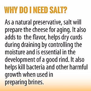 Cheese Sea Salt, Fine Sea Salt for Homemade Cheese Making, Gluten-Free and Non-Iodized Salt, Kosher Cheese Kit Essential Salt, 1 lb Shaker, Sea Salt Superstore