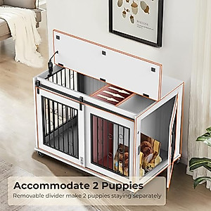 Lyromix Furniture Style Dog Crate End Table with Sliding Barn Door, Indoor Dog Kennel Furniture with Removable Divider for 2 Small to Medium Pets, White, 39.37''W×25.2''D×28.94''H