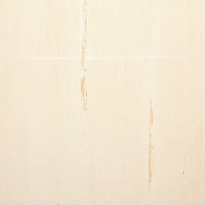 Sauder Harbor View Library, Antiqued White finish