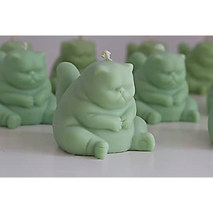 Brighter Sky Grumpy Cat Candle, Natural Premium Soy Wax, French Vanilla, Aesthetic Candles, Gift Ideas, Candle Décor, Gift for Her, Candle Gift, Gift for Friend, Decorative Candles (Green)