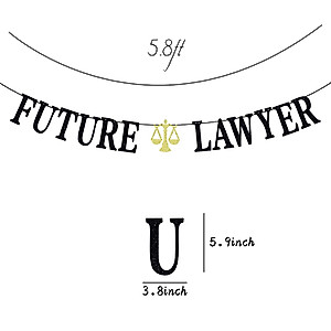 Black Glitter Future Lawyer Banner - Born to Argue/Passed the Bar - Law School Survivor Party Decorations Supplies - Law Grad Graduation Party Backdrop