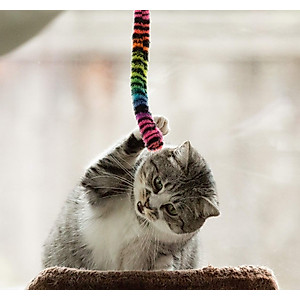SillyPet Youngever 12 Pieces Cat Toys Teasing Feather Toy, Retractable Wand with Assorted Teaser Refills, Interactive Feather Teaser Wand Toy Bell Kitten Cat Having Fun Exerciser Playing