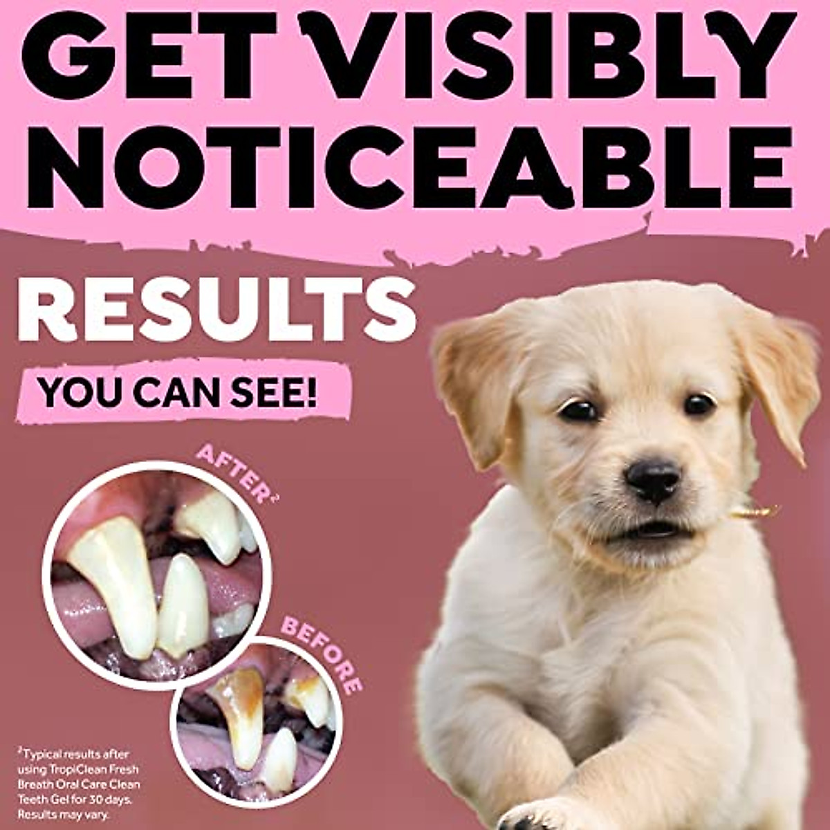 TropiClean Fresh Breath Oral Care Kit for Puppies - Complete Toothbrush & Toothpaste Gel Kit - Helps Remove Plaque & Tartar + Breath Freshener