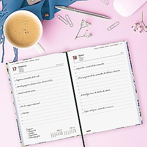 Finocam - Planner 2024 Dynamic Berlin 1 Day Page January 2024 - December 2024 (12 Months) Poppy Catalan