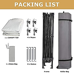 Leader Accessories Silver Pop-Up Canopy Tent 10'x10' Canopy Instant Canopy Straight Leg Shelter with Wheeled Carry Bag, with 4pcs Sandbags