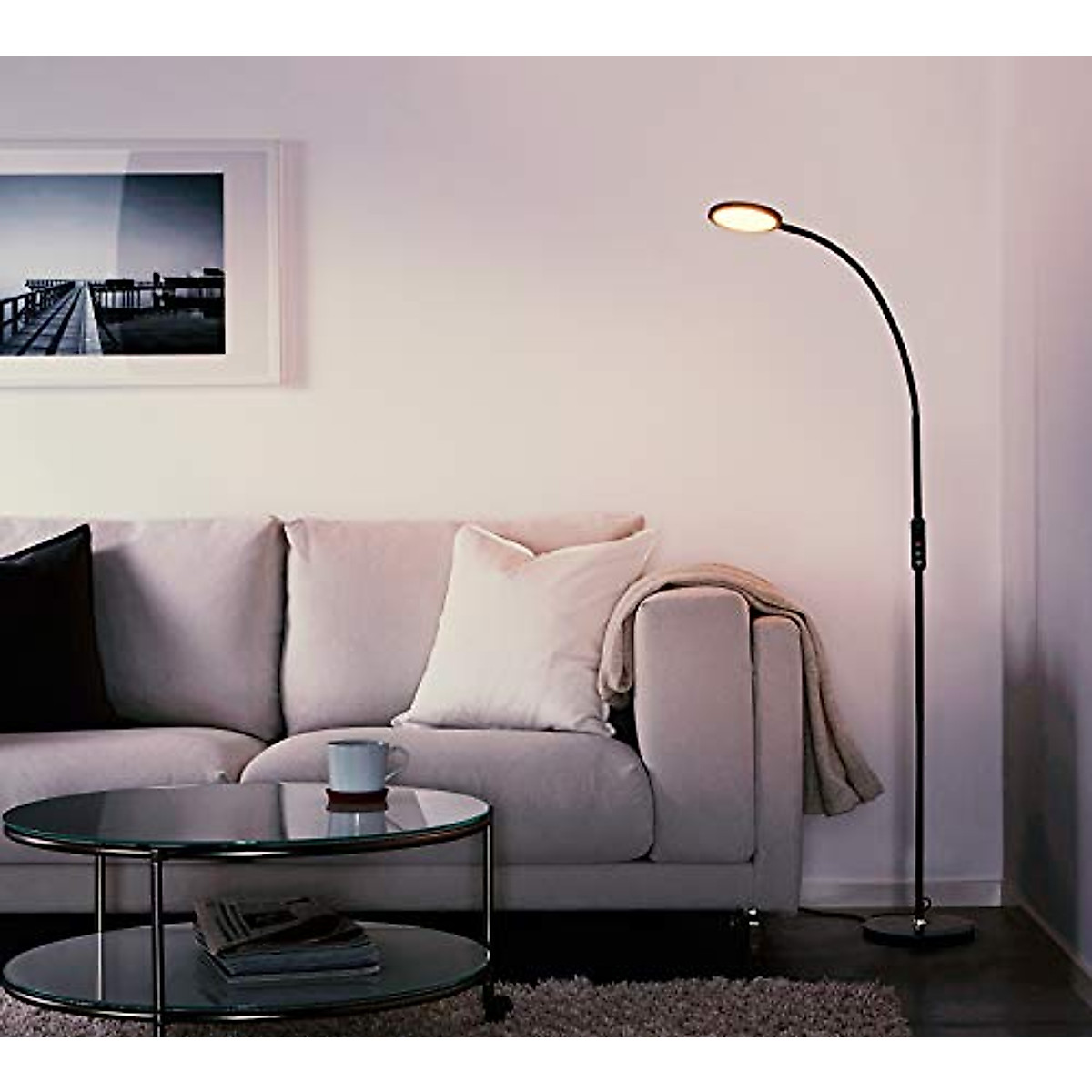 Brightech Vista LED Floor Lamp, Tall Lamp with Remote Control & Adjustable Gooseneck for Bedrooms, Lamp for Living Rooms & Offices, Modern Standing Lamp with 25 Light Colors & Dimming Options