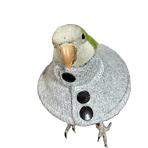 Adjustable Recovery Bird Cone Collar, Elizabeth Protective Collar, Safe and Practical Neck Sleeve for Preventing Bite and Licking Wound Healing with Snap Fastener Random Color (Large)