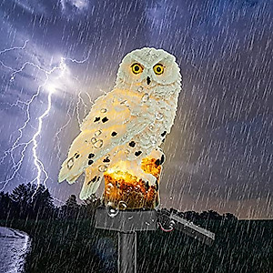 Owl Solar Garden Light - IP65 Waterproof Decorative with Stake for Outdoor Yard Pathway Outside Patio Lawn Decor Scare Birds Away