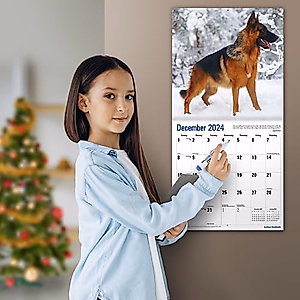 MICASA German Shepherds 2024 Wall Calendar 12 Month | 12" x 24" Open | Thick & Sturdy Paper | Giftable | Calendar 2024