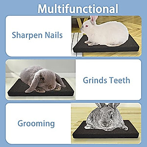 BNOSDM Rabbit Grinding Claw Pads Bunny Scratch Foot Pads Natural Hamster Lava Stone for Teeth Grinding Black Guinea Pig Scratching Board Chew Toy for Ferret Chinchilla Mouse