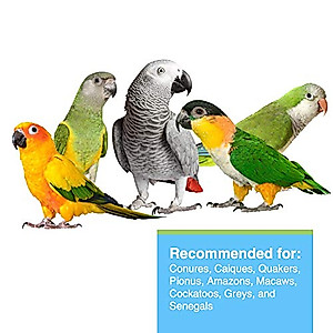 HARI Tropican Bird Food, Hagen Parrot Food with Peanuts & Sunflower Seeds, Maintenance Parrot Granules, Lifetime Formula, 1.8 lb Bag