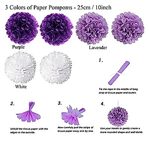 ZERODECO Birthday Decoration Set, Happy Birthday Banner Bunting with 4 Paper Fans Tissue 6 Paper Pom Poms Flower 10 Hanging Swirl and 20 Balloon for Birthday Party Decorations - Purple Lavender White