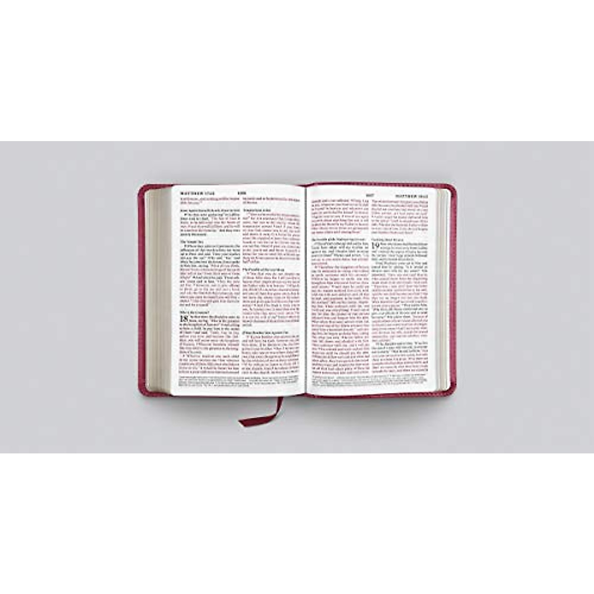 ESV Large Print Compact Bible(8 pt Lexicon type Print) (TruTone, Berry, Floral Design)