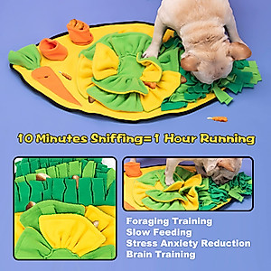 Pet Race Snuffle Mat for Large Dogs Food Puzzles Cat Feeding Rabbit Foraging Radish Shape Pet Pad Treat Dispenser Hand and Machine Washable