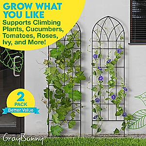 Gray Bunny Garden Trellis for Climbing Plants Outdoor - 2 Pack - 58" x 16" Cucumber Trellis, Rust Proof Metal Trellis for Tomatoes, Vines, Flower Beds, Roses