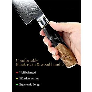 Chef's Meat Cutting Knife 7 Inch Japanese Damascus Steel Sande Knife Kitchen Cutting Meat Vegetables and Fruits Tools Resin Wooden Handle By BIEMBI