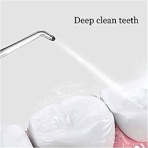 GIENEX Water Flosser Professional Cordless Dental Oral Irrigator 350ML Portable Flosser IPX6 Waterproof 3 Modes 5 Nozzles for Oral Care of Braces Home Travel Waterproof Teeth Cleaner