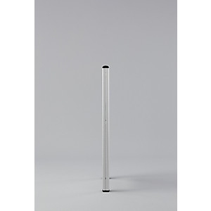 Hasegawa Ladders Slim Step Stool, 2, Silver