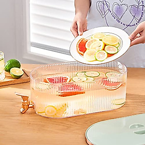 SIXAQUAE iced beverage dispenser,iced Juice Lemonade Dispenser For Party Daily Use, Milk Dispenser For Fridge GREEN.