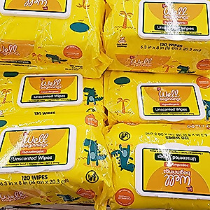 Well Beginnings Premium Hypoallergenic Unscented Baby Wipes, 120 Each Pack