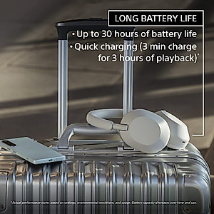 Sony WH1000XM5/B Wireless Noise Canceling Headphones (Black) Bundle with Deco Gear Hard Case + Pro Audio Headphone Stand + Microfiber Cleaning Cloth