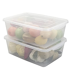 CadineUS 16 Quart Clear Storage Bins, Plastic Tubs with Lids for Storage, 2-Pack