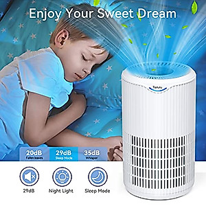 Air Purifiers for Home Large Room Up to 1345 Ft², Tailulu H13 True HEPA Air Filter Purify Smoke Pollen Pet Dander Dust Smell for Bedroom, Kitchen, Air Cleaner with Replacement Filter