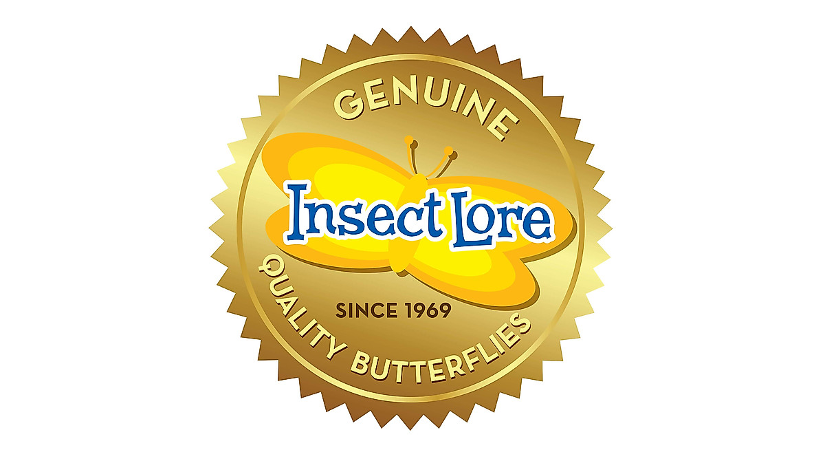 Insect Lore Butterfly Pavilion Kit for STEM & Life Science Education