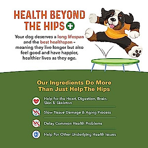 Bernie's Healthy Hips - Daily Dog Hip and Joint Supplement - 90 Soft Chews - Reduce Pain, Encourage Mobility, Slow Damage, Repair and Rebuild Hips and Joint Tissues