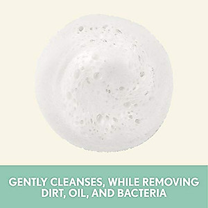 Aveeno Clear Complexion Foaming Oil-Free Facial Cleanser with Salicylic Acid Acne Medication for Breakout-Prone Skin & Soy Extracts, Hypoallergenic & Non-Comedogenic, 6 Fl Oz, Pack of 3