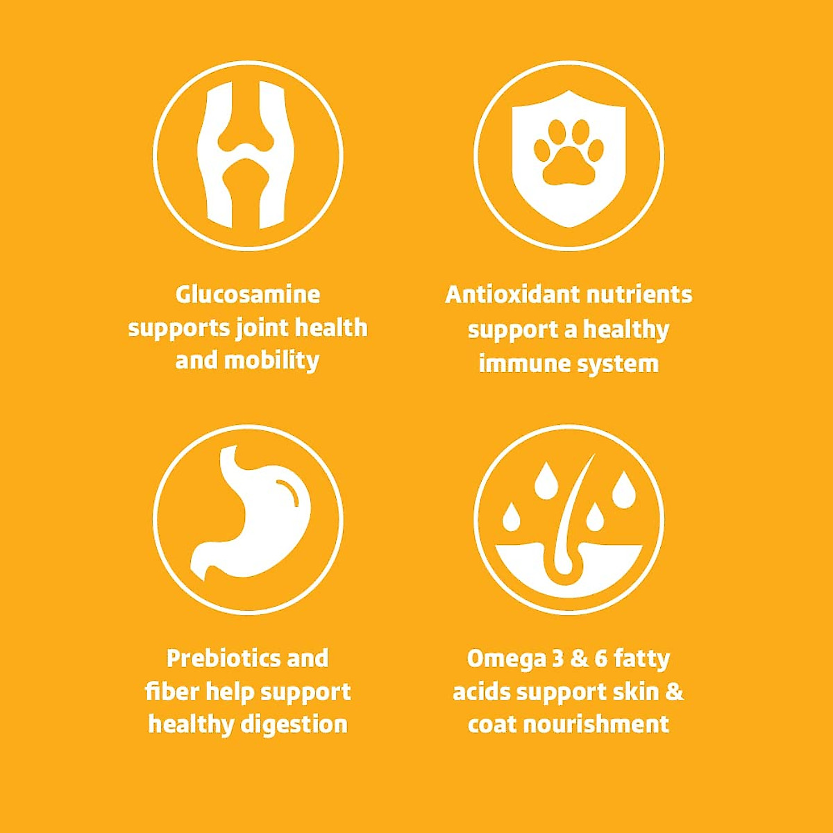 Amazon Brand - Wonder Bound Large Breed, Adult Dry Dog Food, Chicken & Rice, 30 pound (Pack of 1)