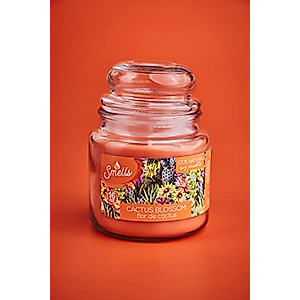 Smells - Premium Soy Wax Large Jar Scented Candle 16oz. - 100% Cotton Single Wick - Fragrance That Eliminates Home and Office Odors: Food, Pets, Smoke and Others (1-Pack, Cactus Blossom)