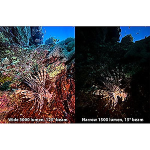 SeaLife Micro 3.0 Pro Dual Beam Set with Sea Dragon 3000SF Pro Dual Beam 3000 COB LED Lumens Photo-Video Light and Micro 3.0 Underwater Camera