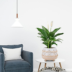 Chonsun Ceramic Planter 8 Inch Plant Pots Indoor Outdoor Planter with Drainage Hole Flower Pots Plant Pot Ceramic Mid-Century