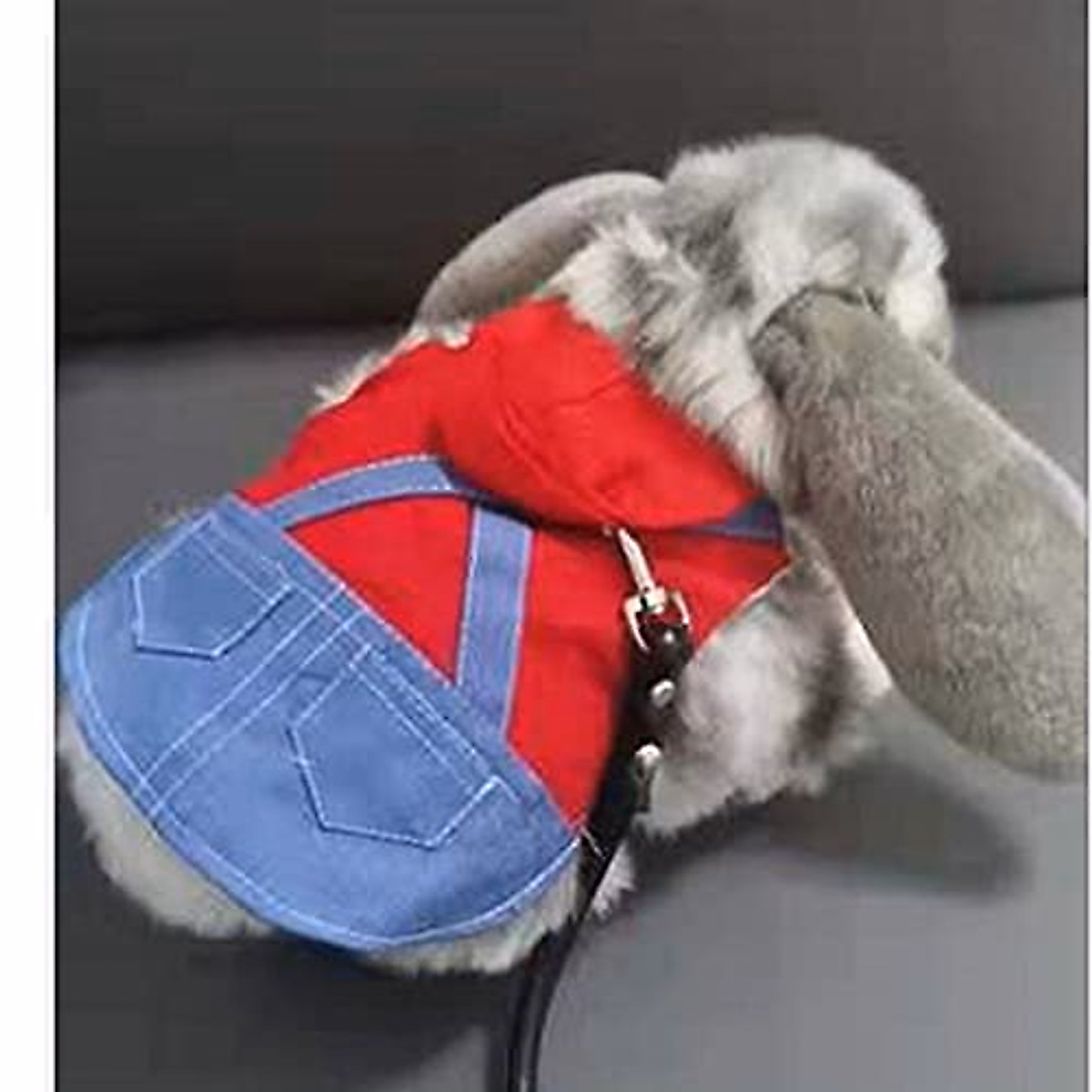 Anelekor Small Pet Costume Rabbit Clothes Ferret Hoodies Sweatshirt Bunny Vest Harness and Leash Set Kitten Sweater Small Animals Outfits for Chihuahua Kitty Mini Dog and Small Breeds (A, S)