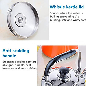 TailVeil Orange Tea Kettle, Tea Kettle Stovetop Teapot 304 Stainless Steel Tea Pots for Stove Top, Anti-Hot Handle,with removable tea basketSuitable for All Heat Source, Orange (2.11 Quart)