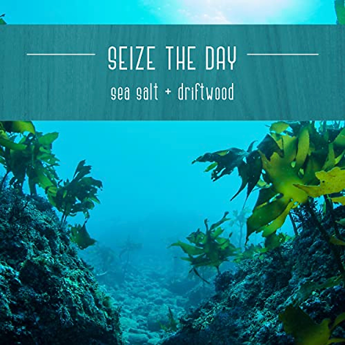 Essential Elements by Candle-Lite Company Wood Wick Scented Candle, Seize The Day, One 16 oz. Single-Wick Aromatherapy Candle with 50 Hours of Burn Time, White