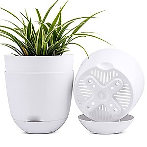 QCQHDU Plant Pots,3 Pack 8 inch Self Watering Planters High Drainage with Deep Saucer Reservoir,for Indoor & Outdoor Garden Flowers Plant Pot-White…