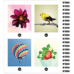 Brain Games - Sticker by Number: Nature - 2 Books in 1 (42 Images to Sticker)