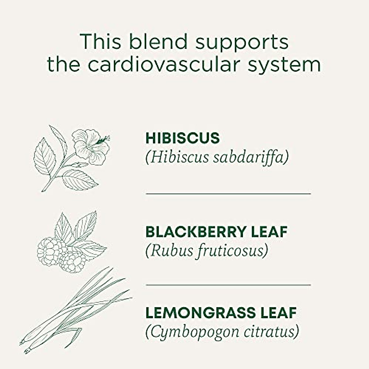 Traditional Medicinals Organic Hibiscus Herbal Tea, 16 Tea Bags (Pack Of 1)