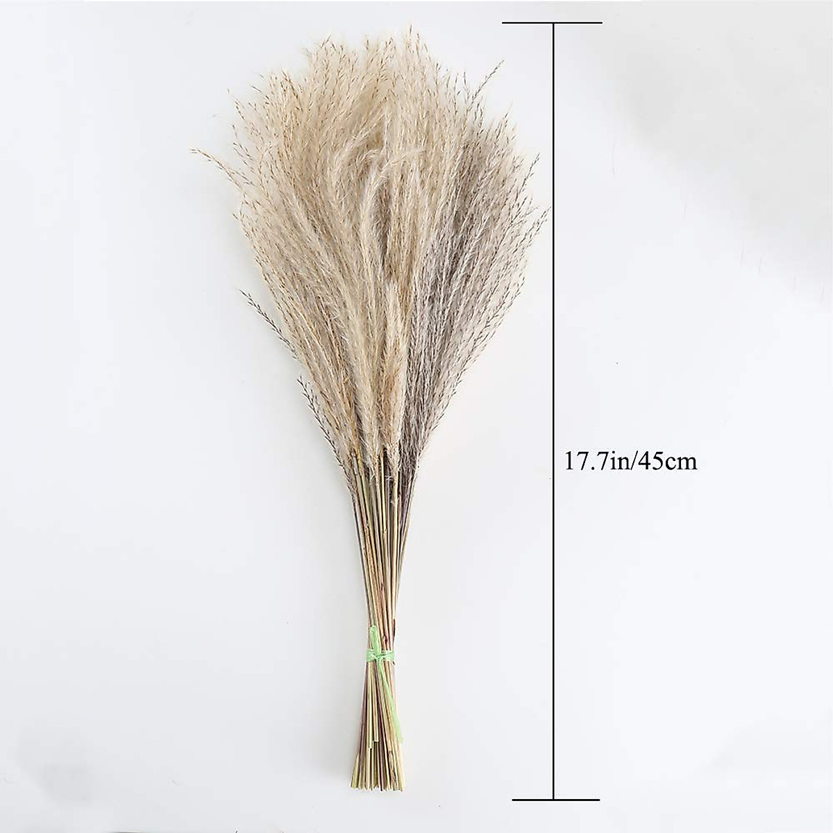 LEUEE 60Pcs Natural Dried Flowers Pampas Grass Phragmites Communis Bouquet Dried Reed Grass Plumes Dried Flowers for Wedding Vase Indoor Home Garden Party Arrangements Art Craft