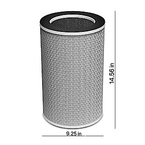 Airthereal Bundle | AGH550 True HEPA Air Purifier and 1-Pack Spare Replacement Filter, Glory Days