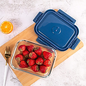 HAKEEMI Glass Food Storage Containers 10 Pack, Glass Meal Prep Containers with Snap Locking Lids Airtight Built in Air Vents, Glass Lunch Containers, Microwave/Dishwasher Safe, Navy Blue