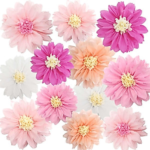 iwlorys 12Pcs Assorted Pink Tissue Paper Pom Poms Flowers Party Decorations Kit 12" 8" Mexican Floral Light Hot Rose Pink Peach for Wall Wedding Baby Bridal Shower Girls Birthday Nursery Garden Tea