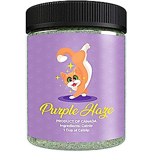 Purple Haze Catnip, Premium Blend Safe for Cats, Infused with Maximum Potency Your Kitty is Sure to Go Crazy for (1 Cup)