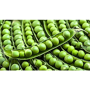 "Early Frosty" Garden Pea Seeds for Planting, 50+ Heirloom Seeds Per Packet, (Isla's Garden Seeds), Non GMO Seeds, Botanical Name: Pisum sativum, 90% Germination Rate