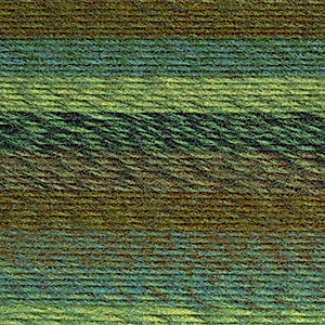 Lion Brand Yarn Ferris Wheel Yarn, Multicolor Yarn for Knitting, Crocheting, and Crafts, 1-Pack, Evergreen