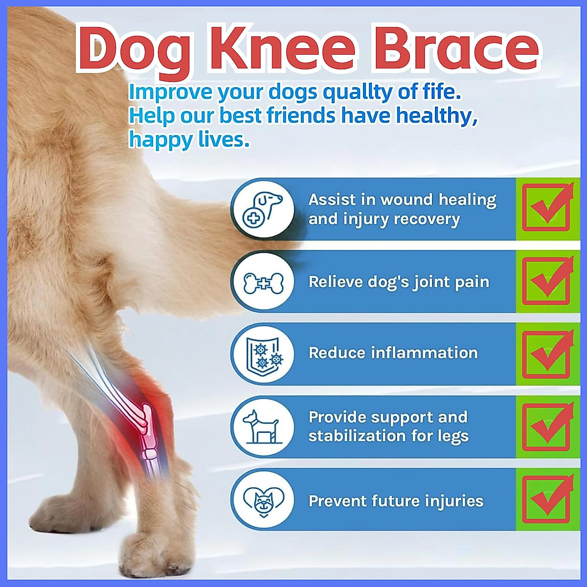 dreamynini Dog Knee Brace for Torn Acl Hind Leg, Dog Hip Support Brace for Cruciate Ligament Injury, Hip Dysplasia, Better Recovery with Adjustable Dog Leg Braces for Back Leg or Front Leg - Medium