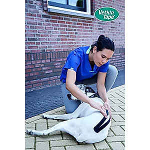 VETKIN VetkinTape® Veterinary Kinesiology Tape Black | Kinesiology Tape for Horses & Dogs | Equine & Canine Kinesiotape | Latex Free and TÜV Quality Mark Certified Ktape | 1.2 inch | Pack of 2 Rolls